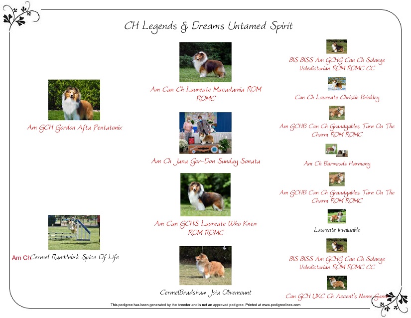 Cermel Shelties